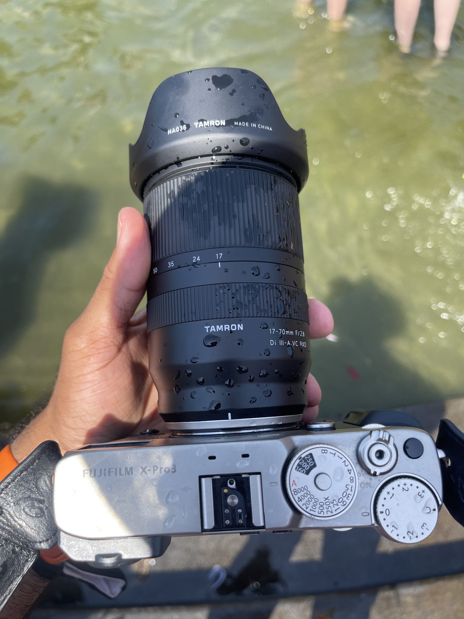 The Best Zoom Lenses for Photographers on a Budget
