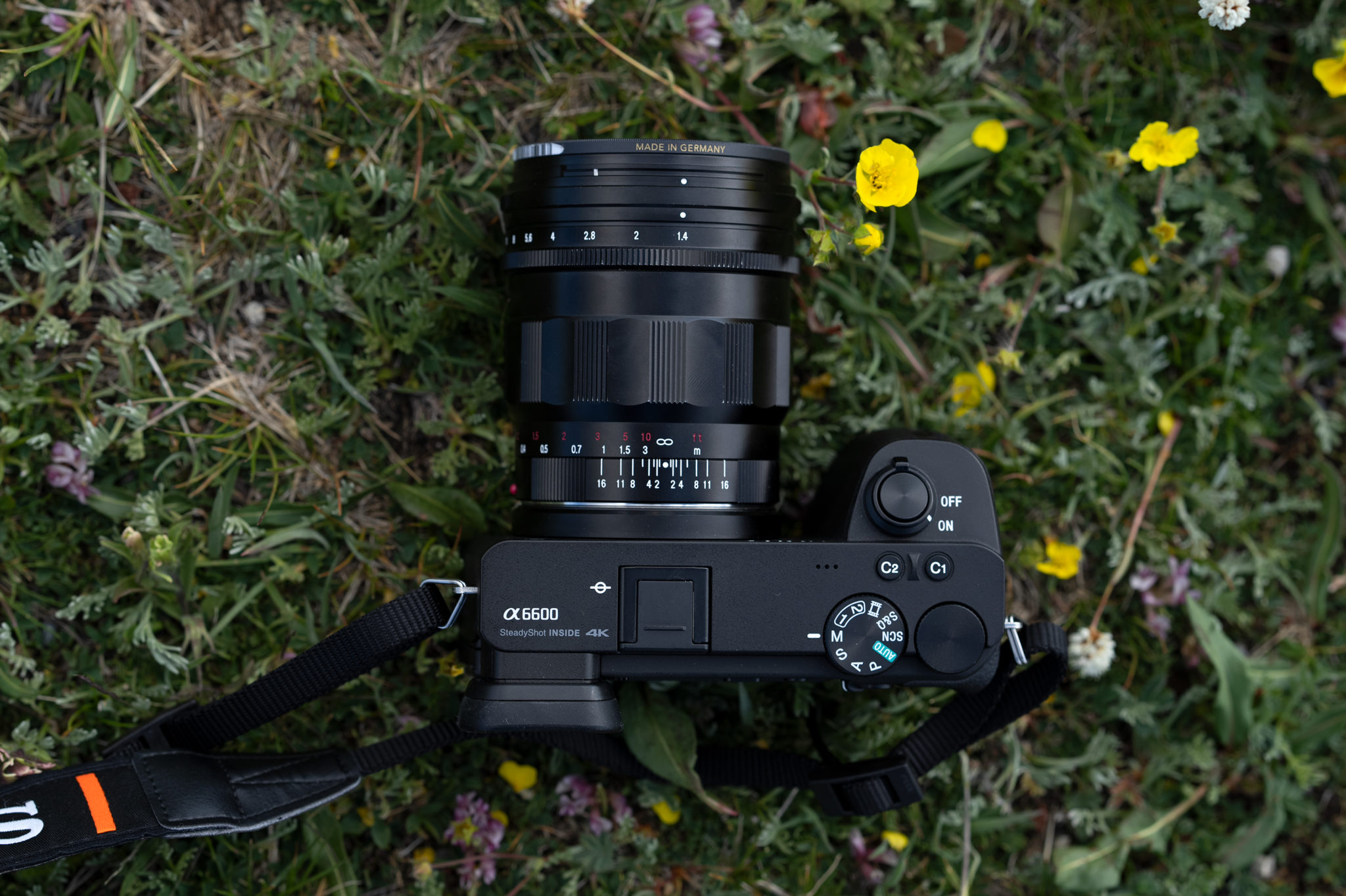 Voigtlander Nokton 21mm F1.4 Lens Review: Such Beautiful Colors!