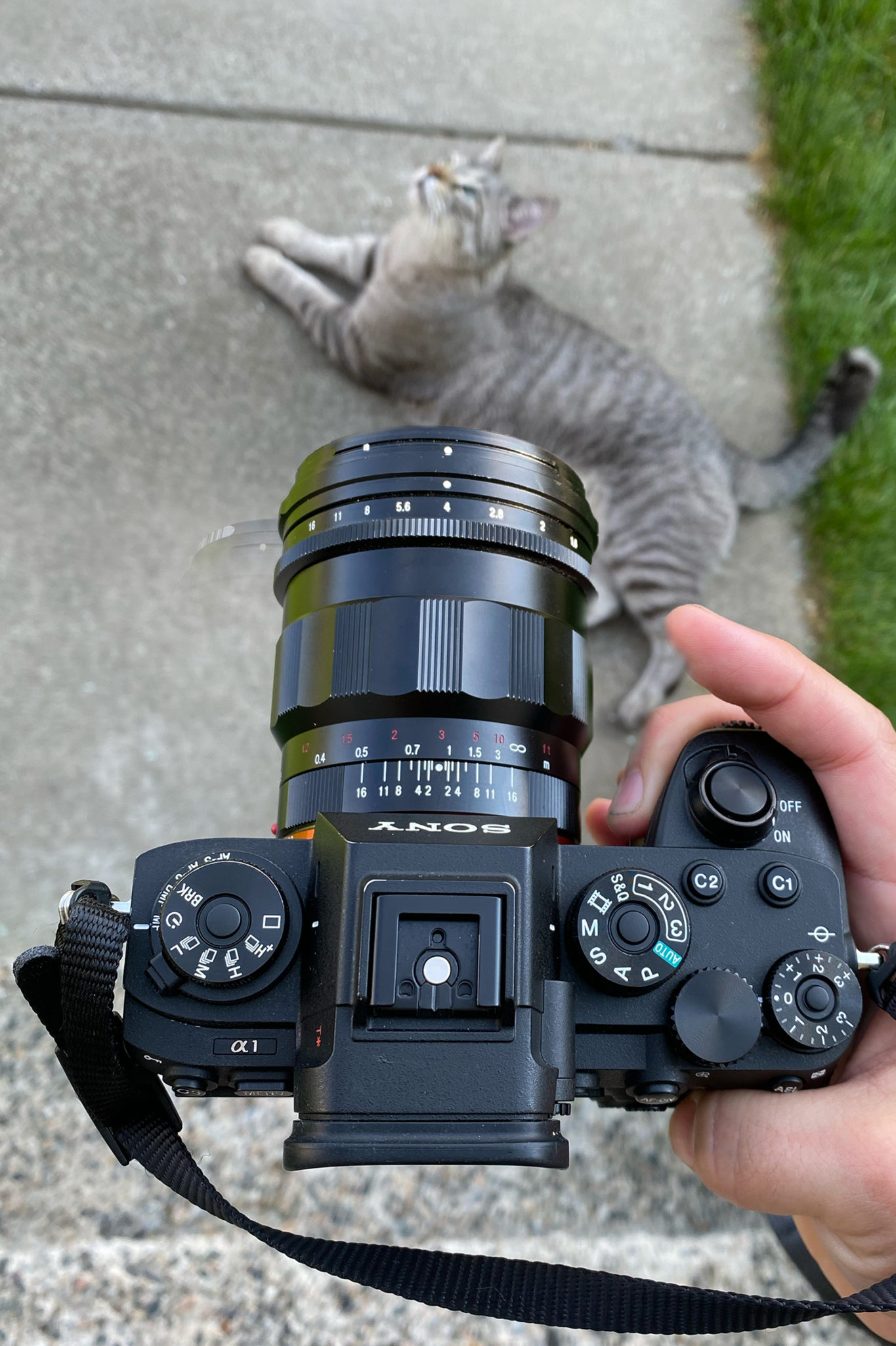Voigtlander Nokton 21mm F1.4 Lens Review: Such Beautiful Colors!
