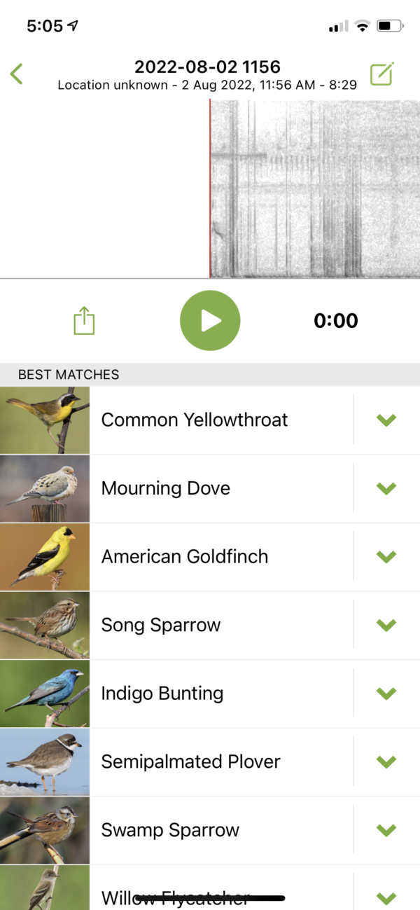Bird Photographers, Go Download This Free Bird ID App Right Now