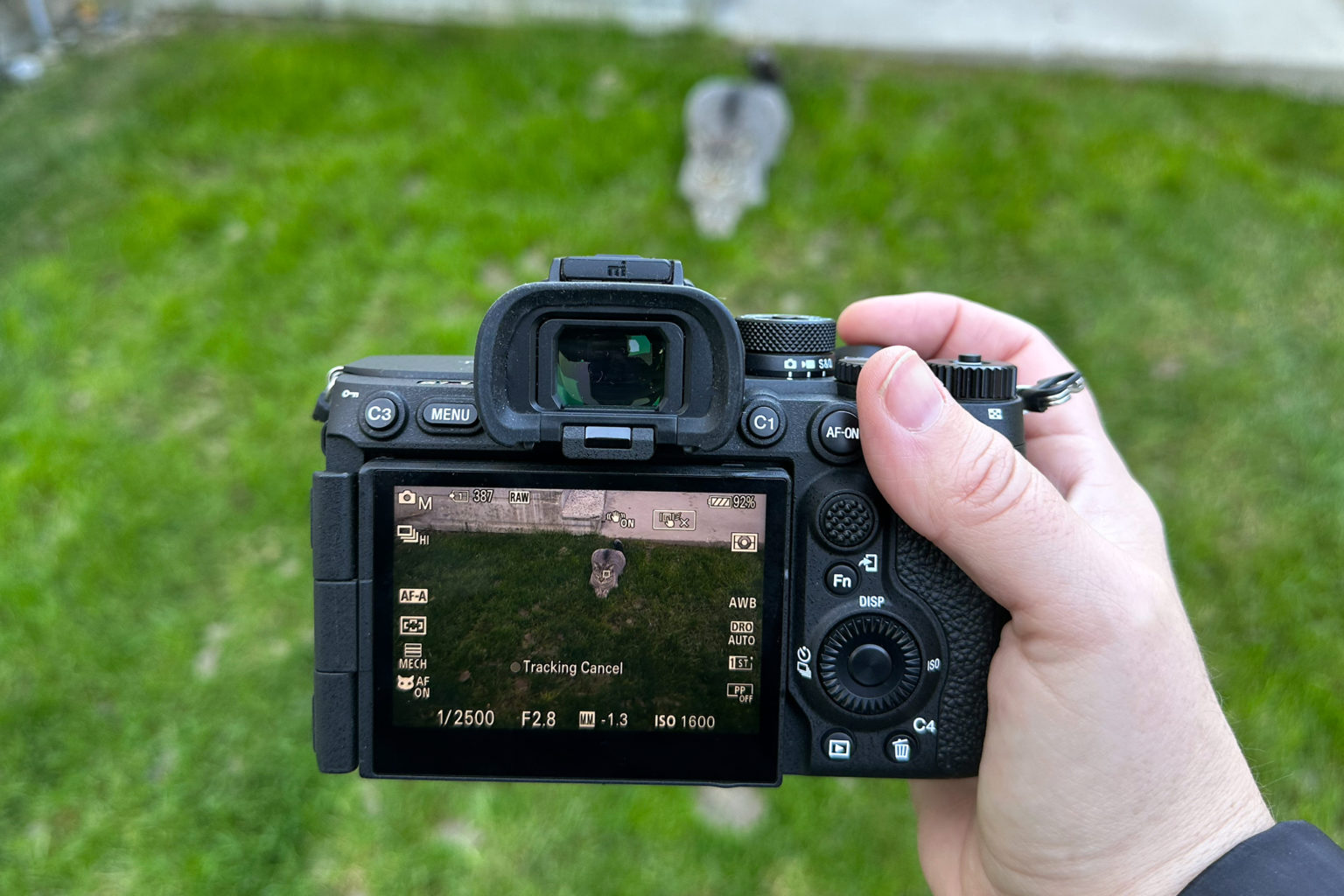 Beautiful and Functional - Sony a7r V Review