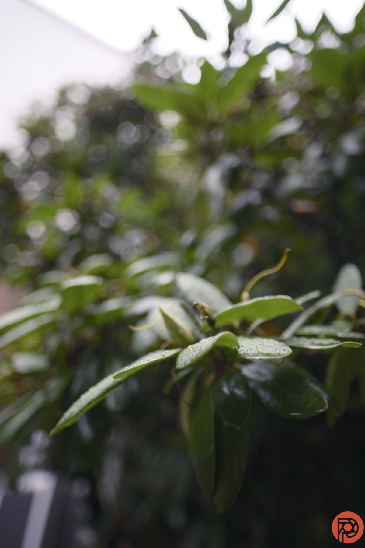 The Best Fujifilm Cameras for Landscape Photography