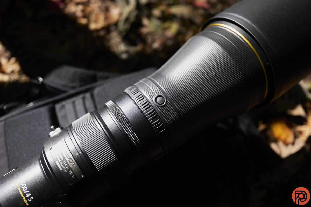 Nikon Z 600mm F4 First Impressions