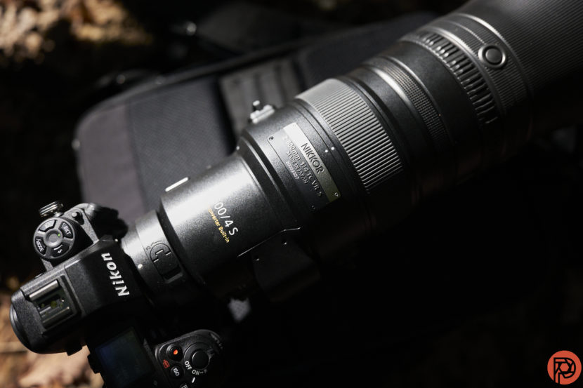 Nikon Z 600mm F4 First Impressions