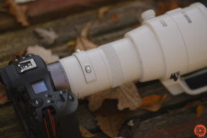 Canon RF 1200mm F8 L IS USM Review