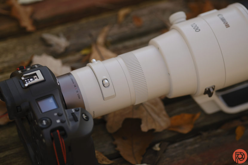 Canon RF 1200mm F8 L IS USM Review