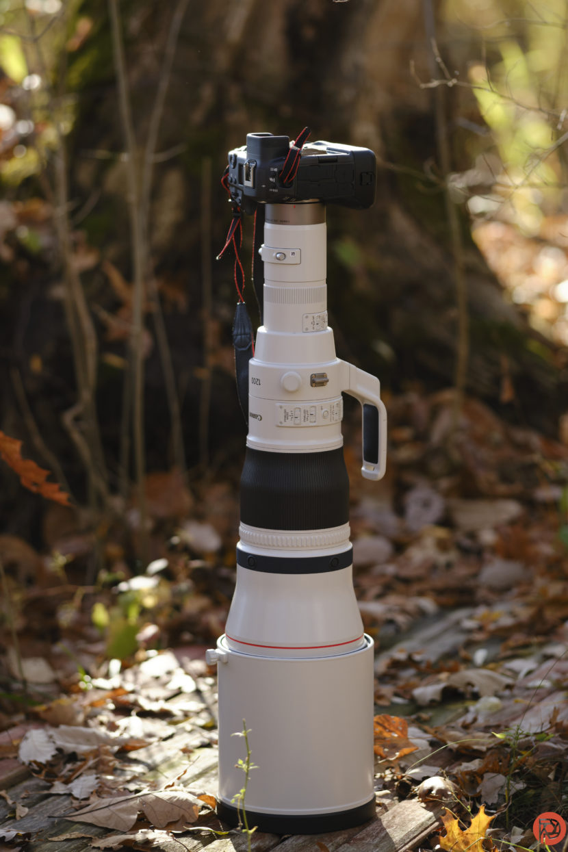 Canon RF 1200mm F8 L IS USM Review