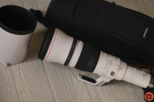 Canon RF 1200mm F8 L IS USM Review