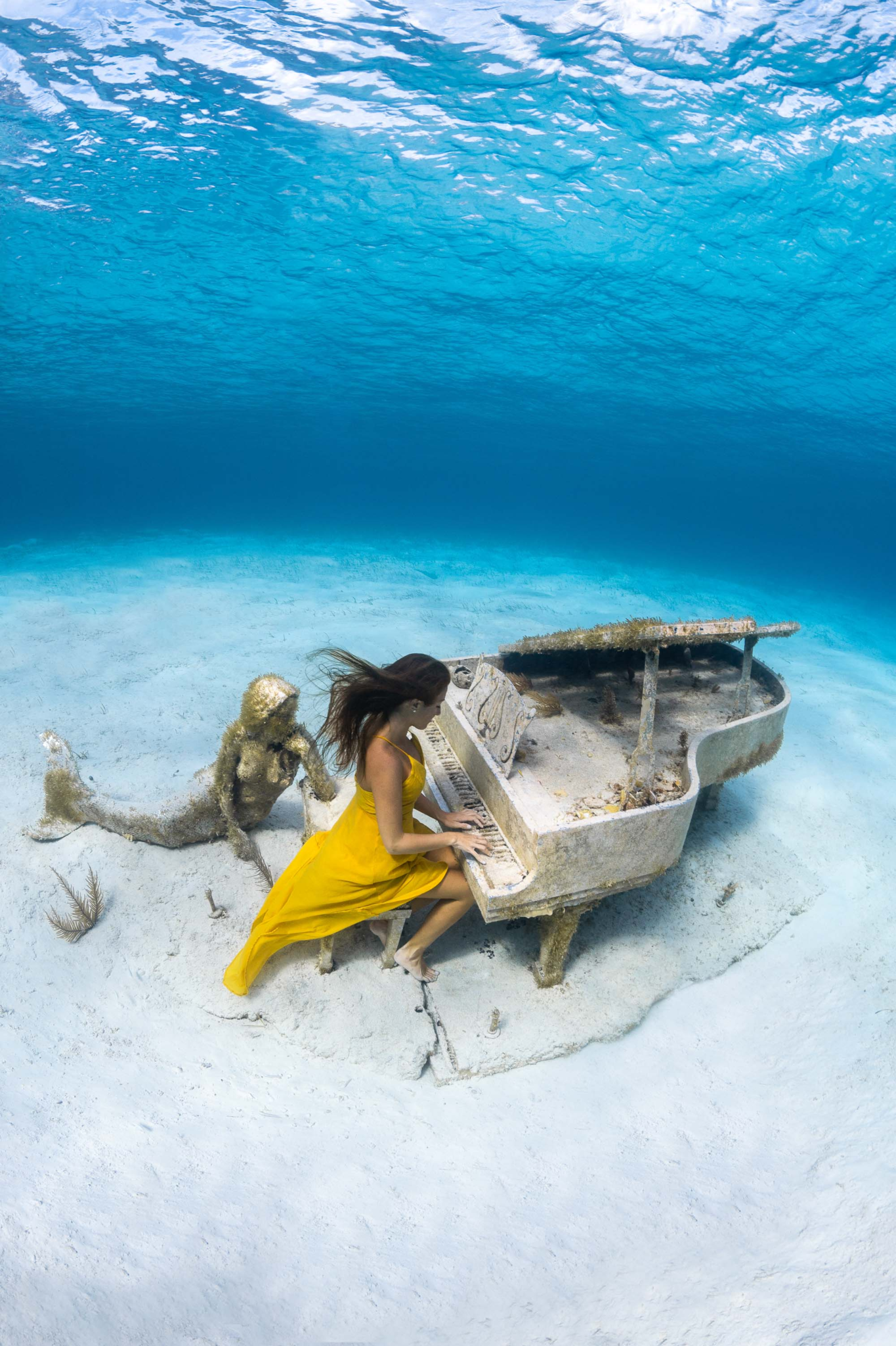 The Best Underwater Photographers Making Magic on Camera