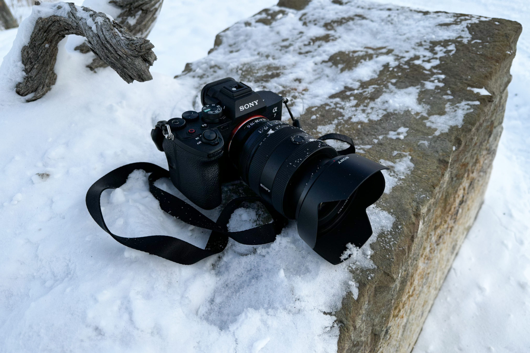 Sony FE 20-70mm F4 G Review