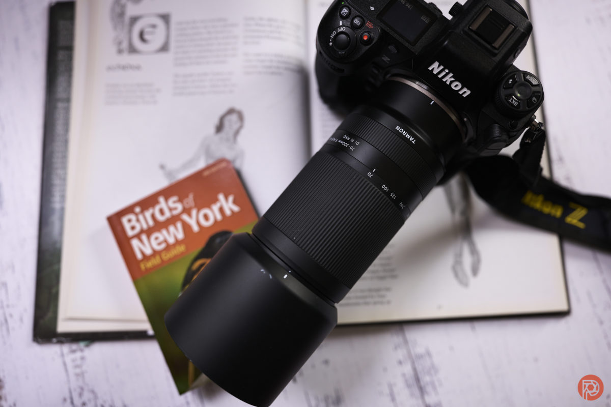 5 Best Mirrorless Cameras Featuring a Fast Autofocus