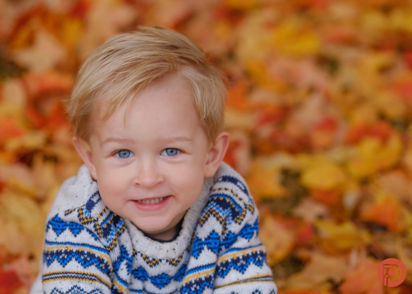 Catchlights and Color: How to Make Eyes Pop Without Photoshop