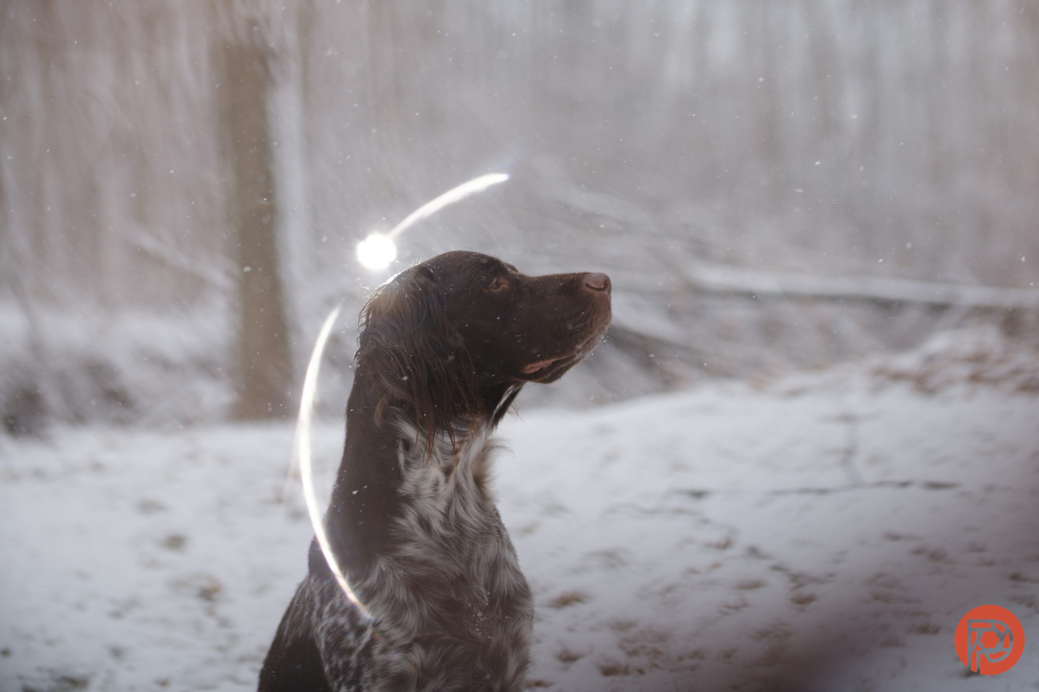 How to Create a Lens Flare Effect for Just $8