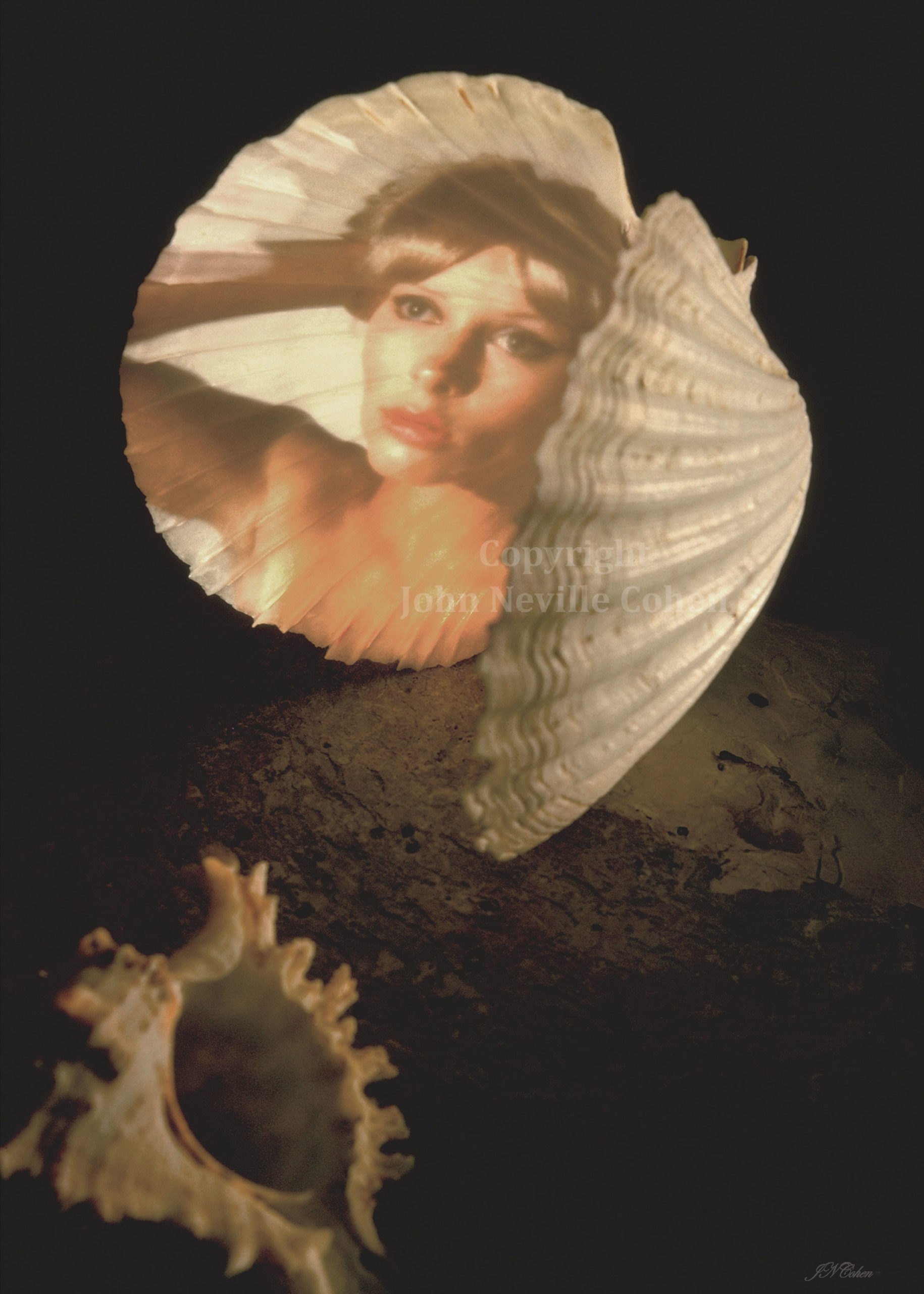 John Cohen Gives a New Perspective to Photos with Projections