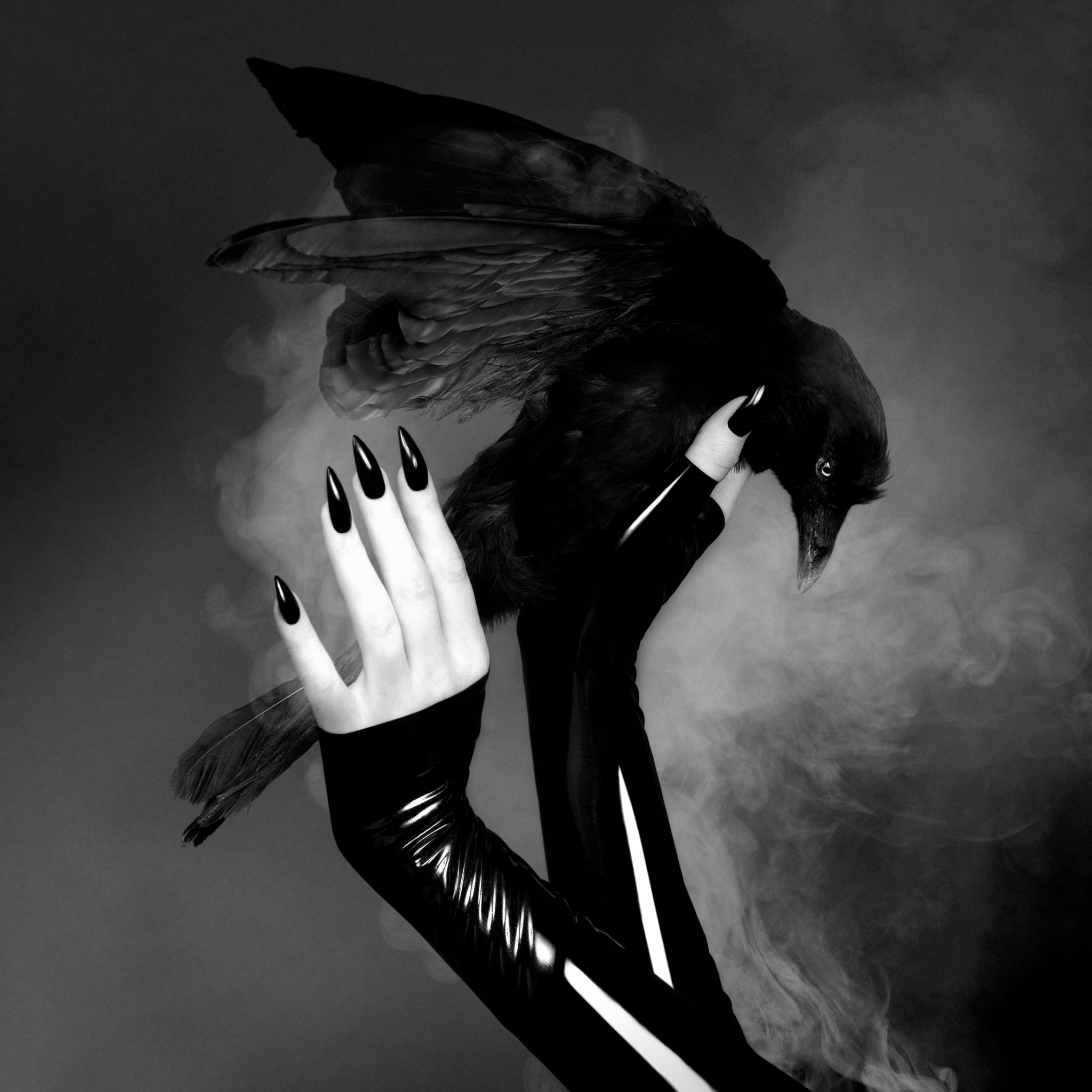 Jaqueline Vanek Captures her Inner Demons