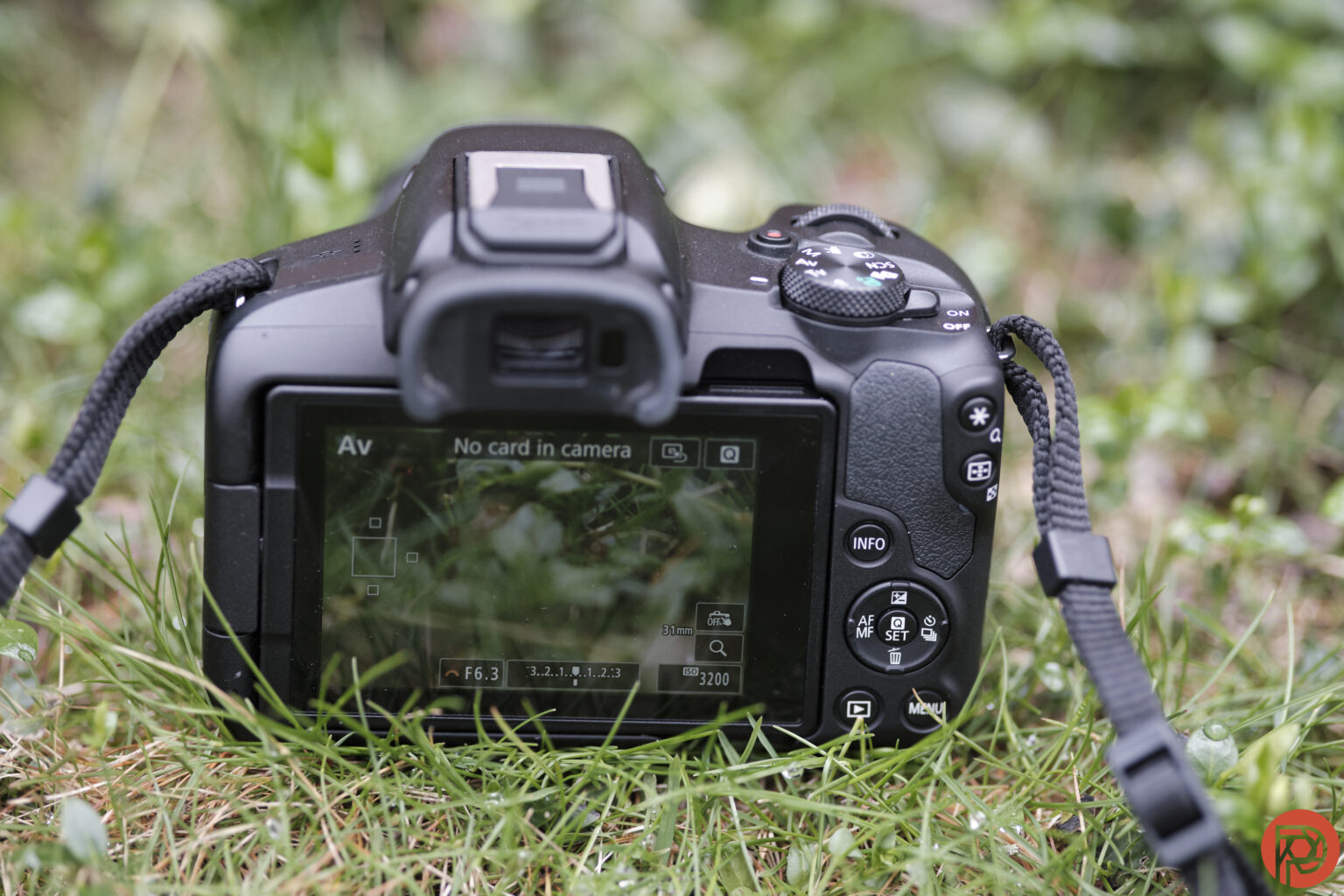 Canon EOS R50 Review: Cheap in All the Right Places