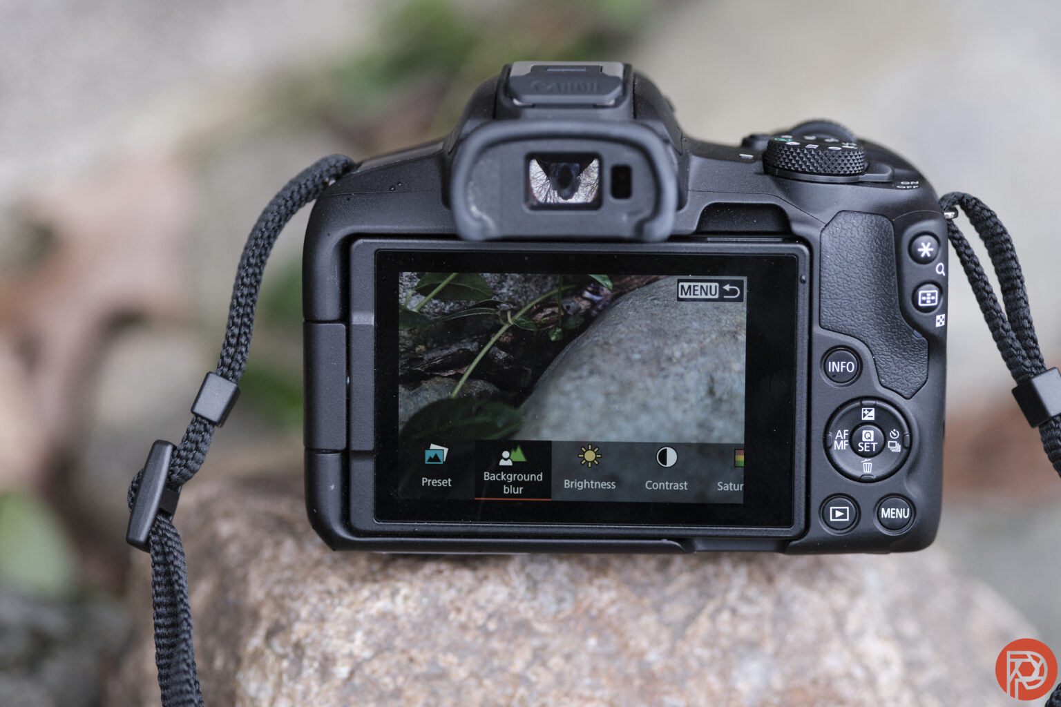 Canon EOS R50 Review: Cheap in All the Right Places