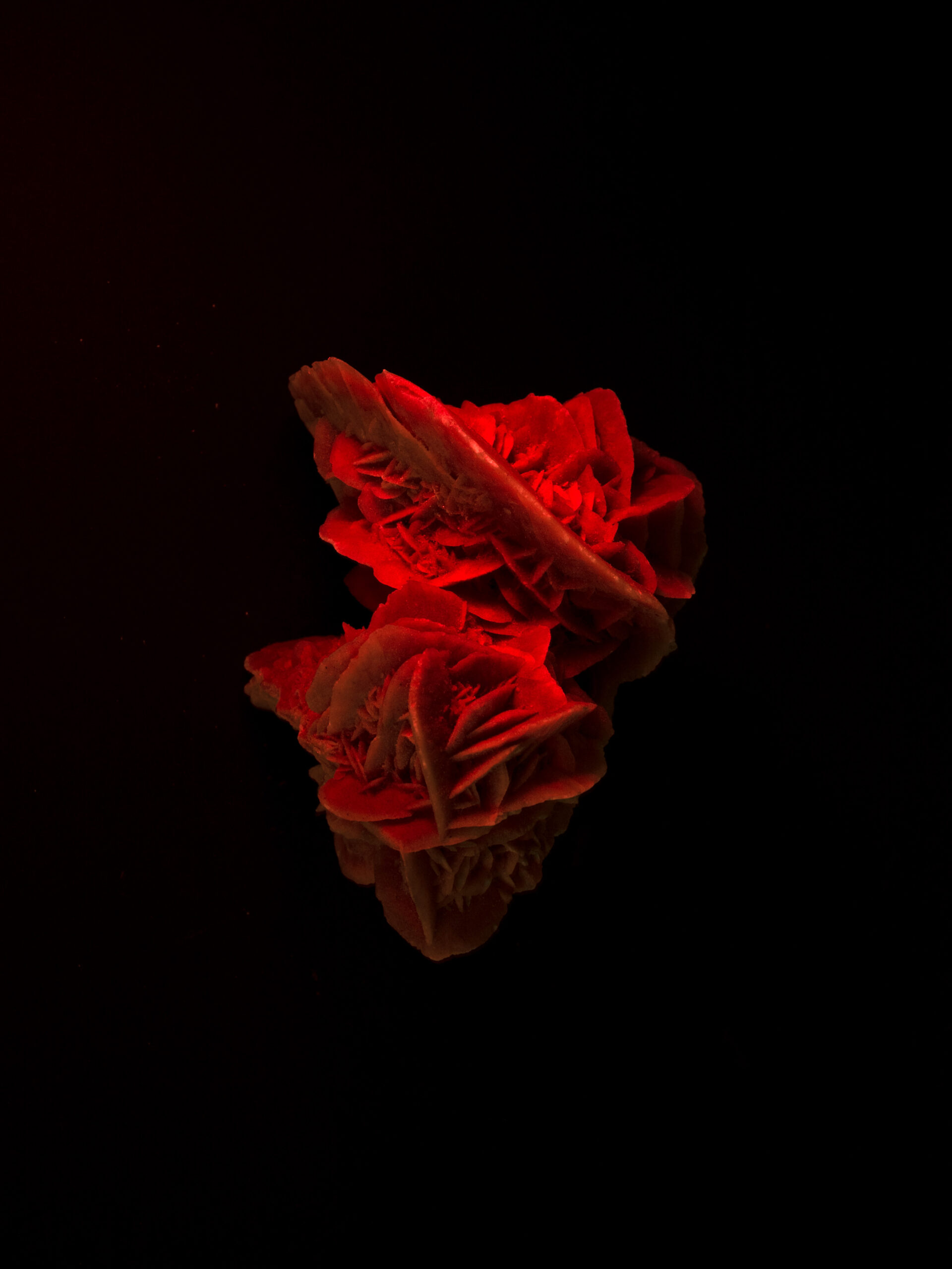 Alisa Martynova Gets Philosophical in Nowhere Near