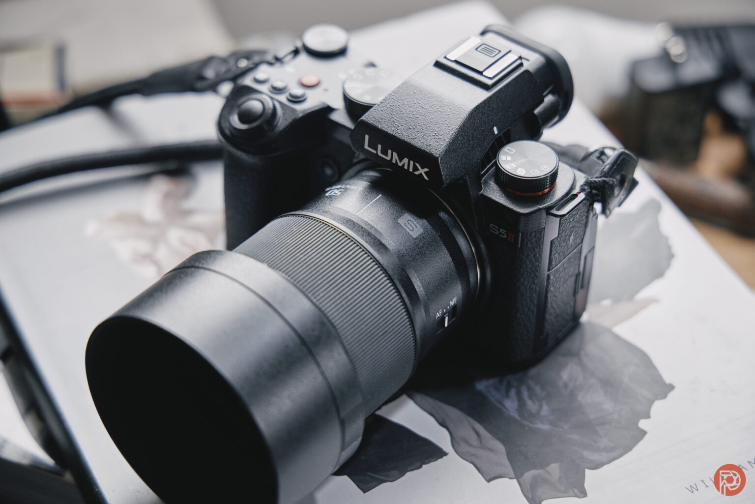 What are the Best Camera Brands? Advice from a Photographer