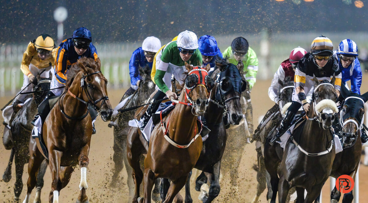 Why We're Hyped to Use the Nikon 600mm F6.3 For Sports