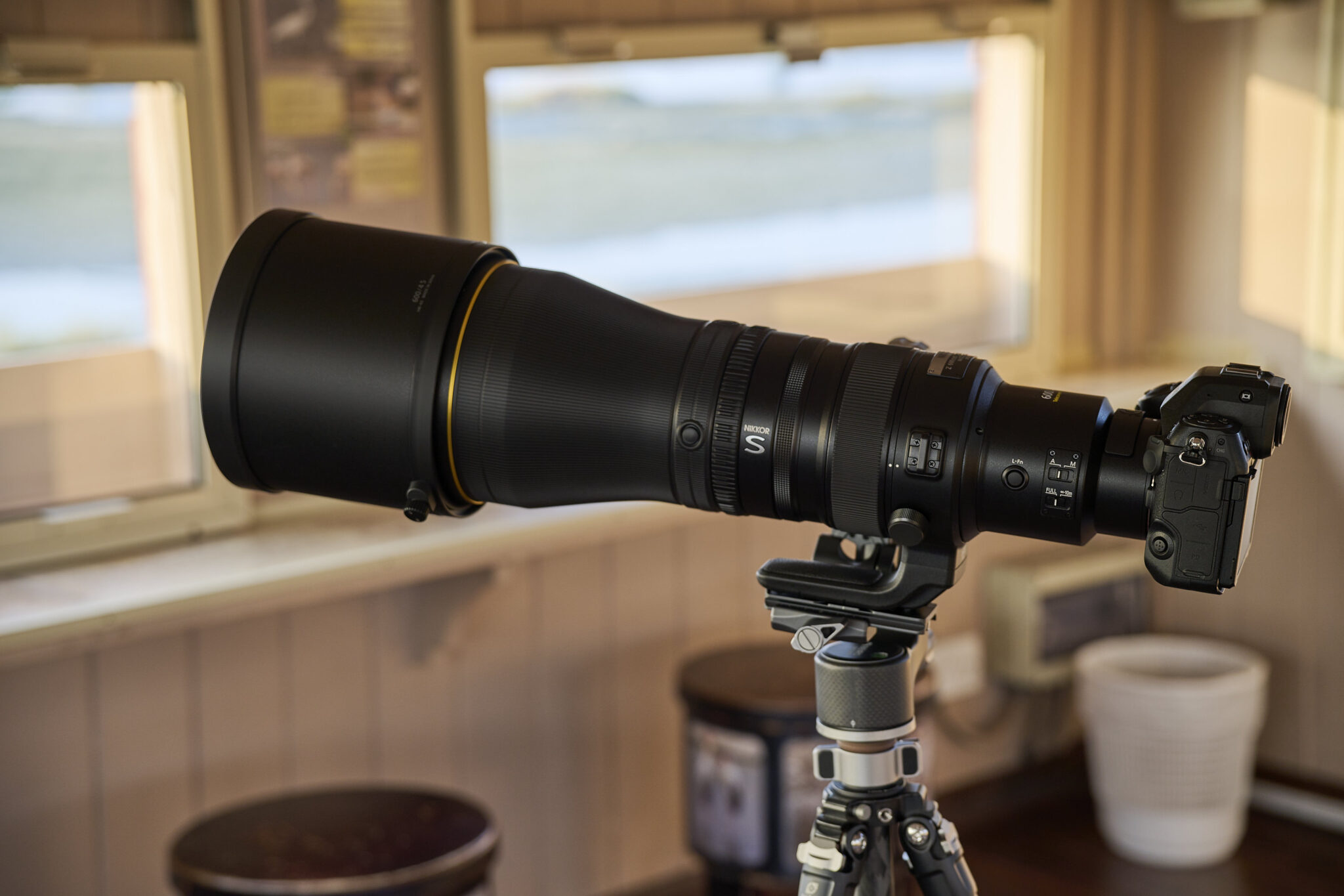 Nikon Z 600mm F4 Lens Review: Pros Will Love This Lens