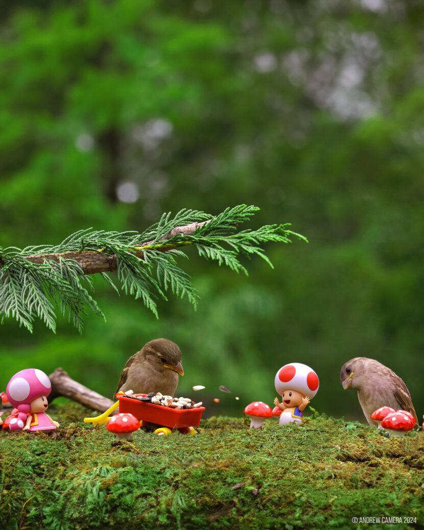 Andrew Camera Combines Nature and Toys for Incredible Photos