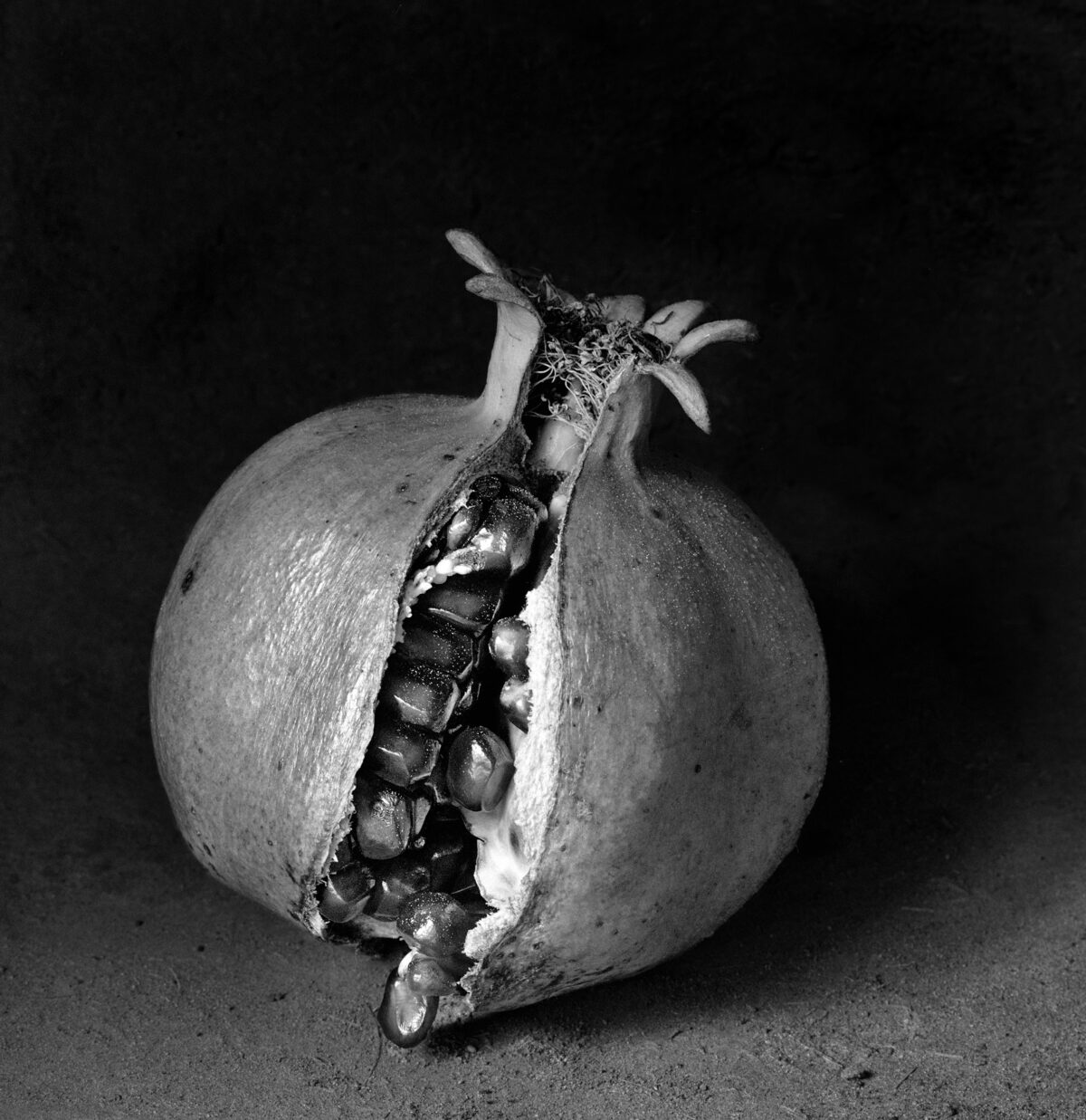 The Inspiring Work of the Best Fine Art Photographer from Mexico