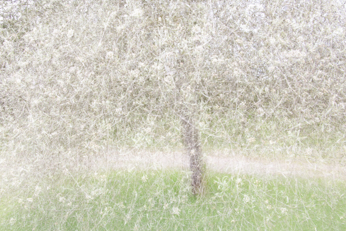 Esther van Overbeek Makes Photographs a Sony Camera Can't Do