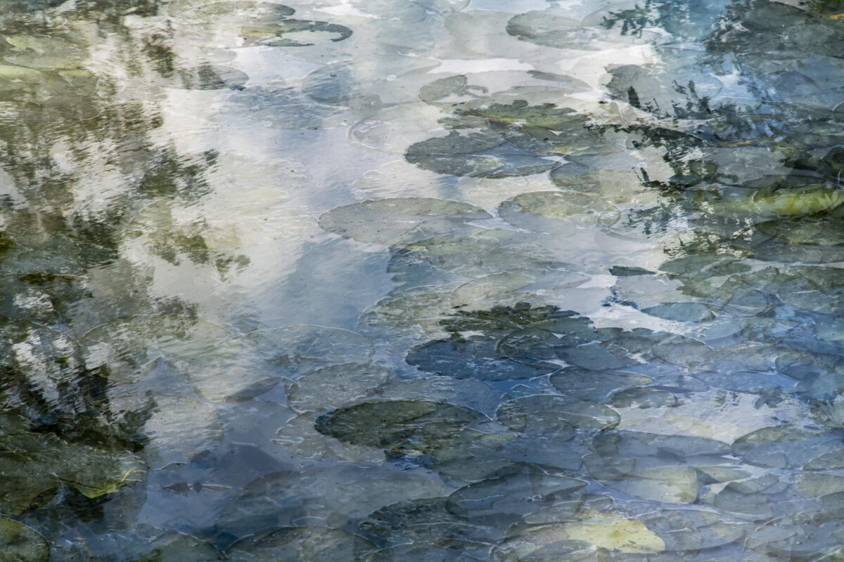 Esther van Overbeek Makes Photographs a Sony Camera Can't Do