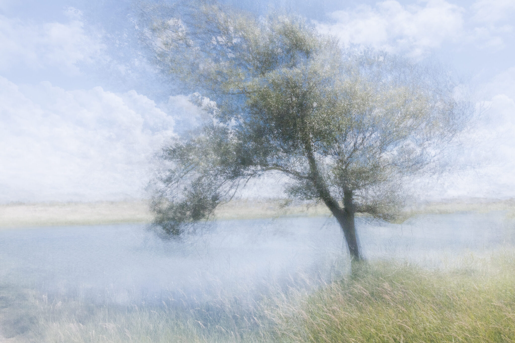 Esther van Overbeek Makes Photographs a Sony Camera Can't Do