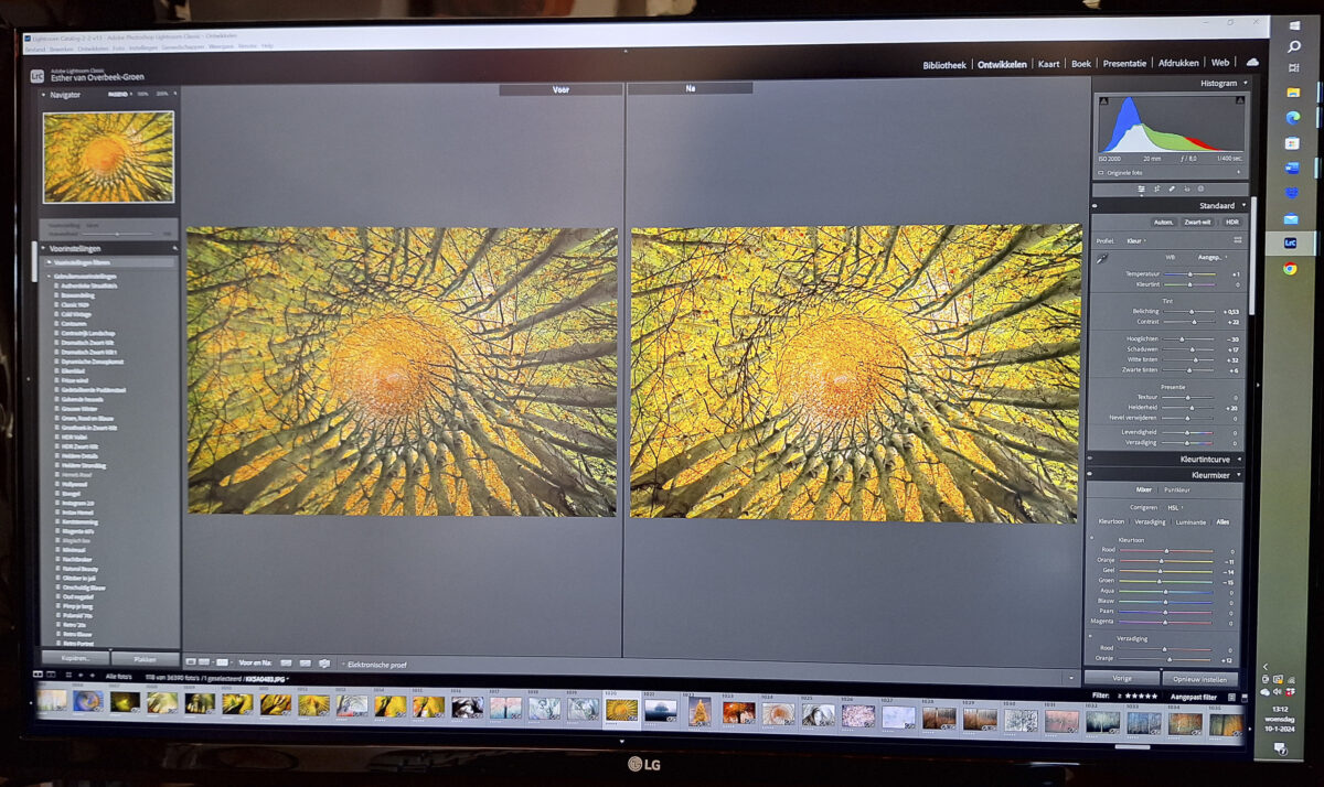 Esther van Overbeek Makes Photographs a Sony Camera Can't Do