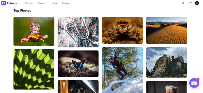 500px introduces Pulsepx: A Portal Revolutionizing Photo Contests