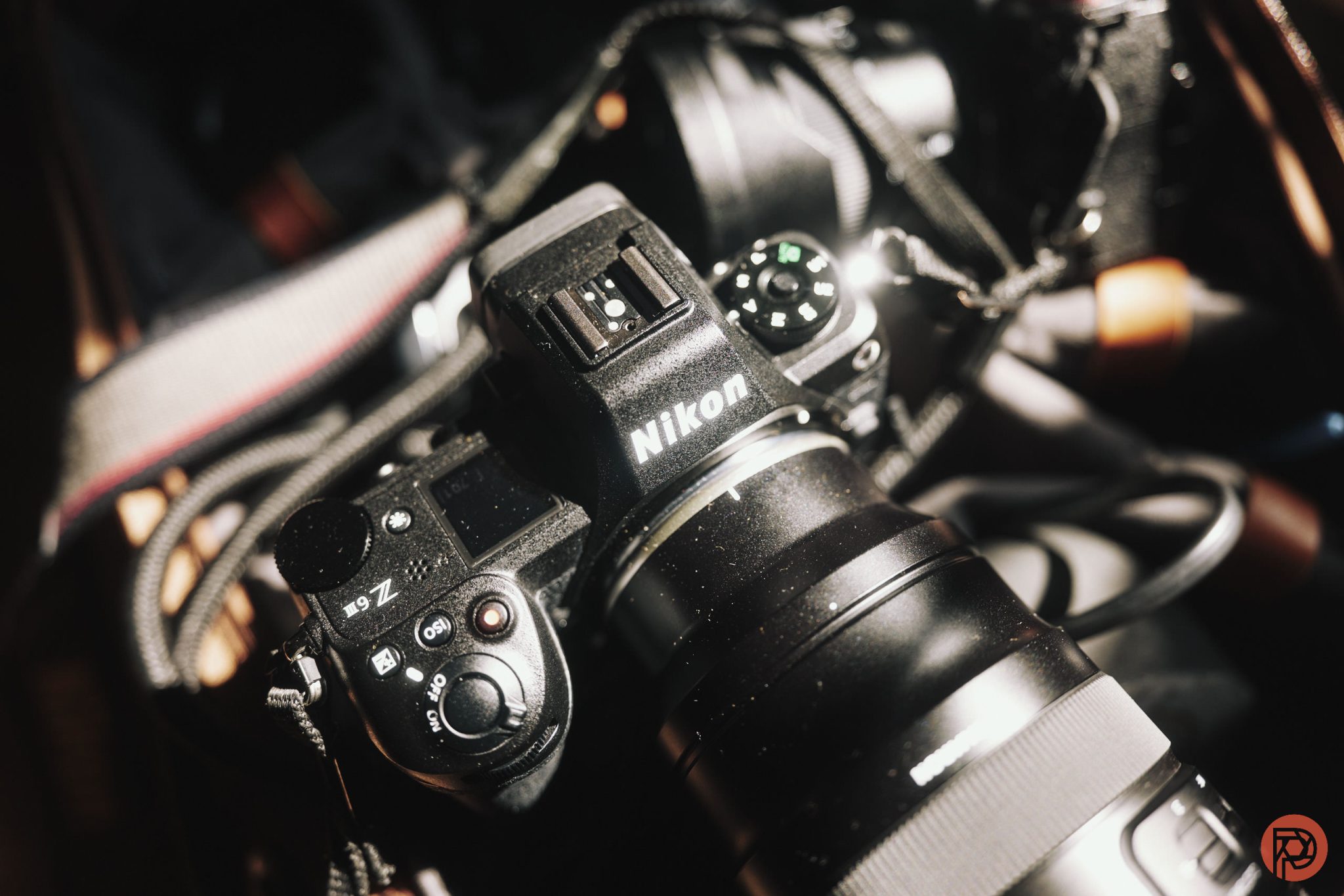 Nikon Z6 III Review: They Did it Right This Time