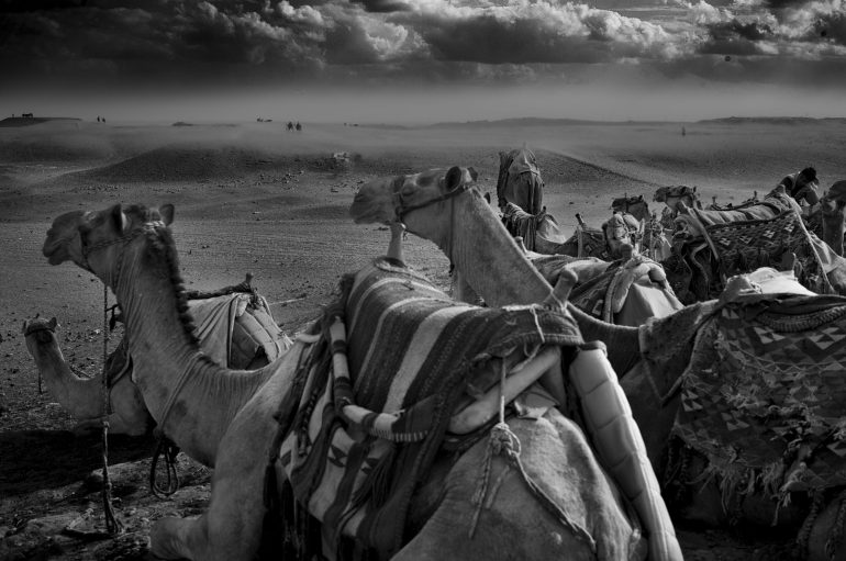 Fatma Almosa and the Black and White Dream