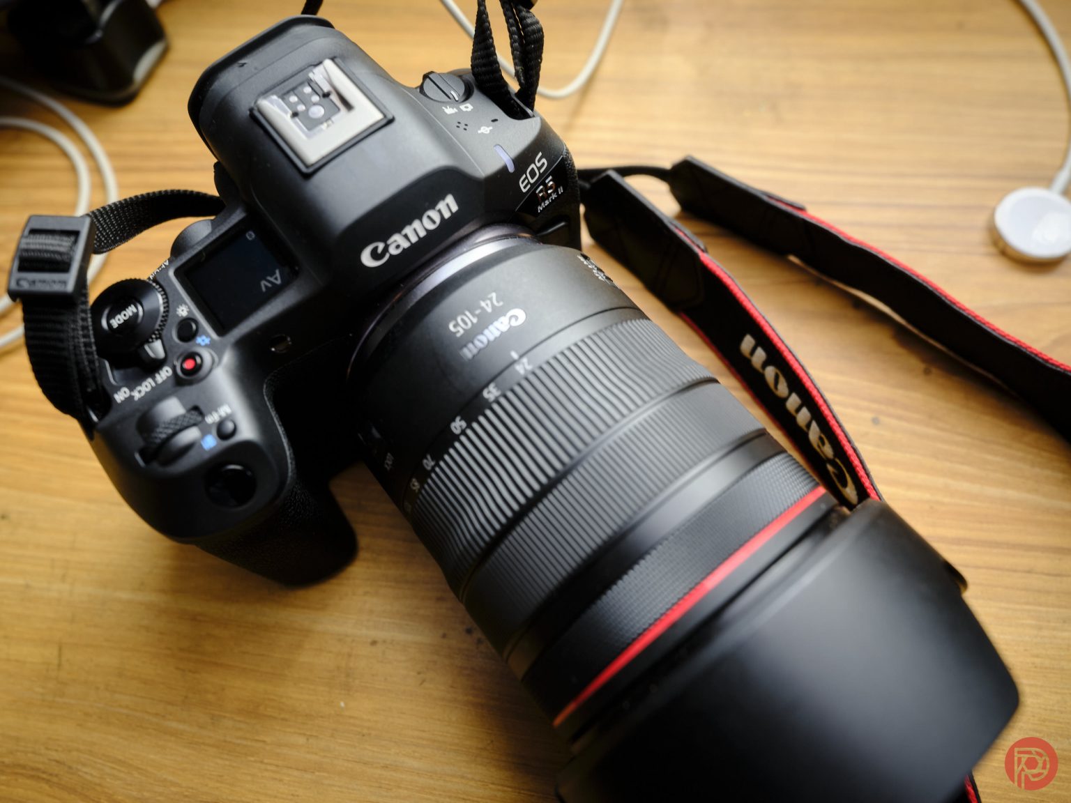 The Only Canon Camera Kit Needed For Wildlife Photography