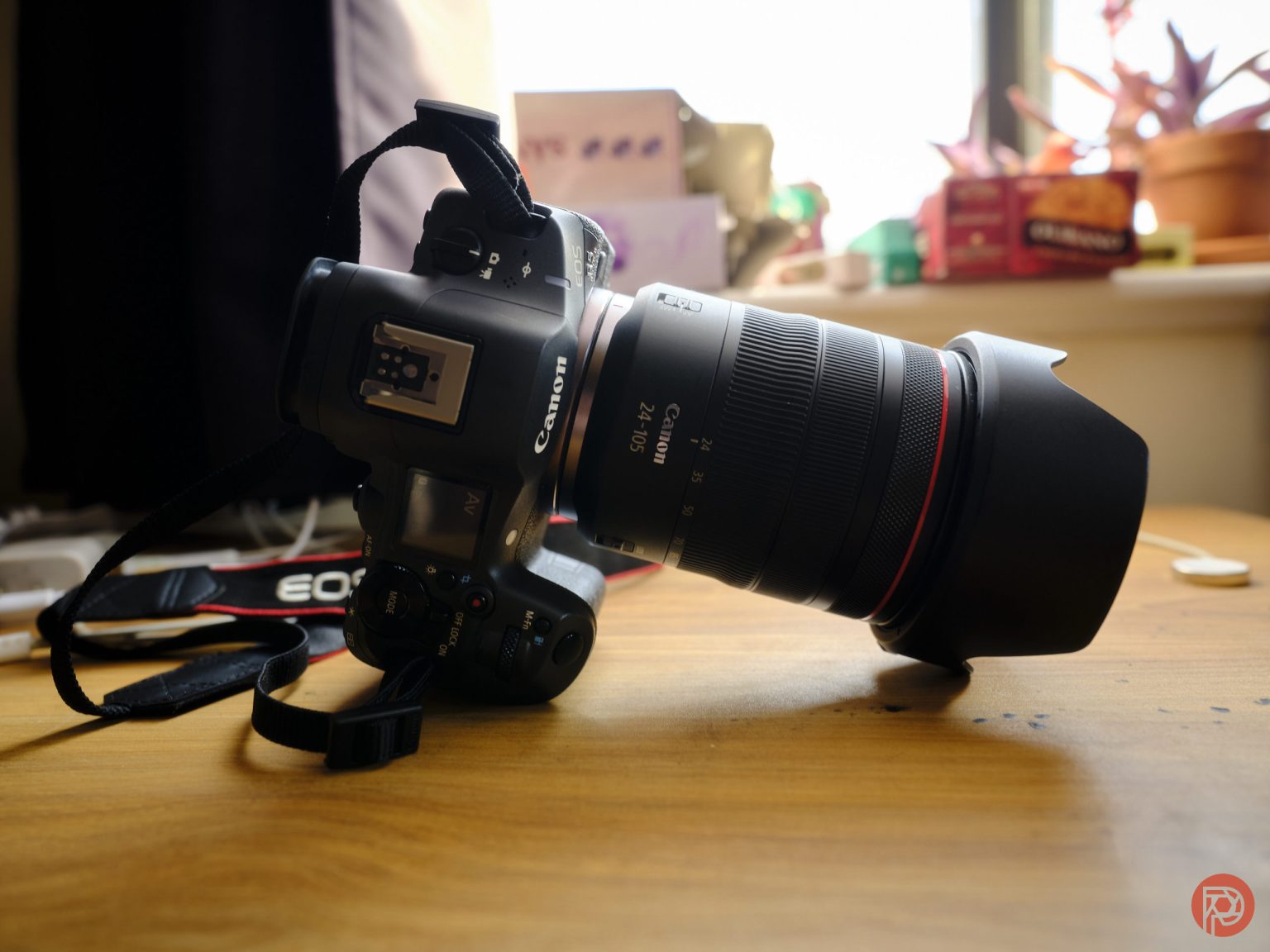 The Best Cameras of 2025 for Professional Photographers