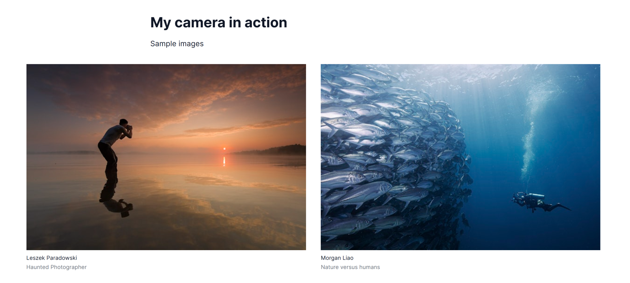 TIPA Photo Contest Gives You a Chance to Win Over $3000