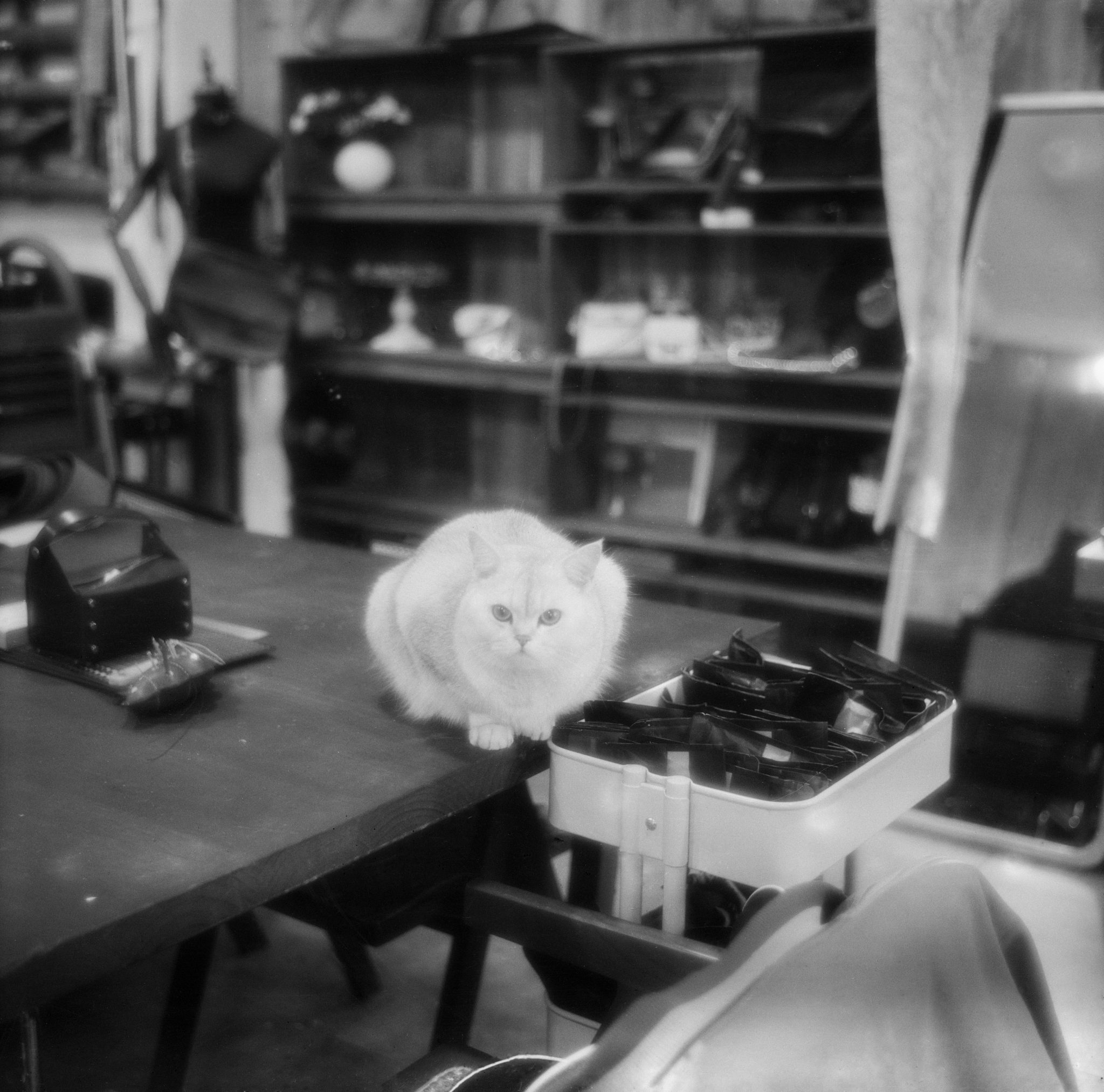 Film Photographers, This New Film Emulsion Will Amaze You