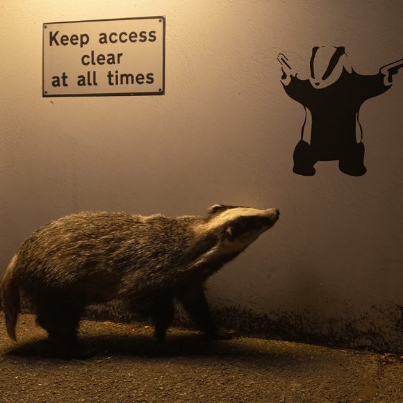wildlife photographer of the year Archives - The Phoblographer