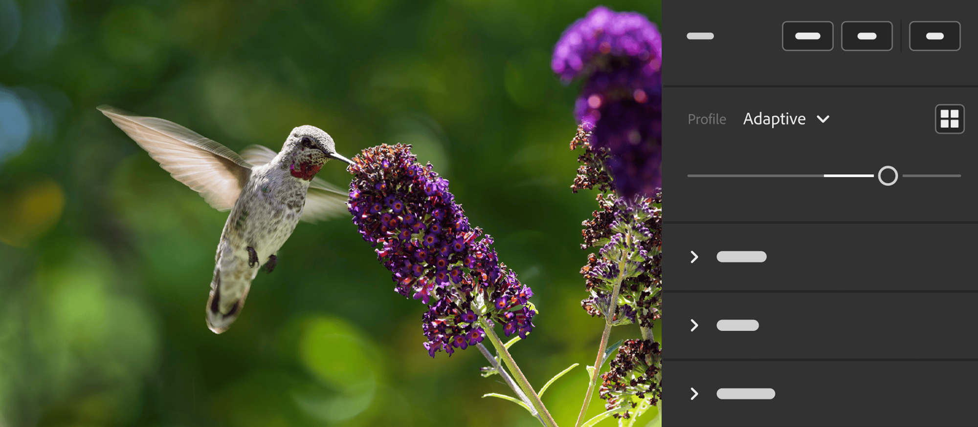 Adobe Lightroom Just got AI-Powered Editing