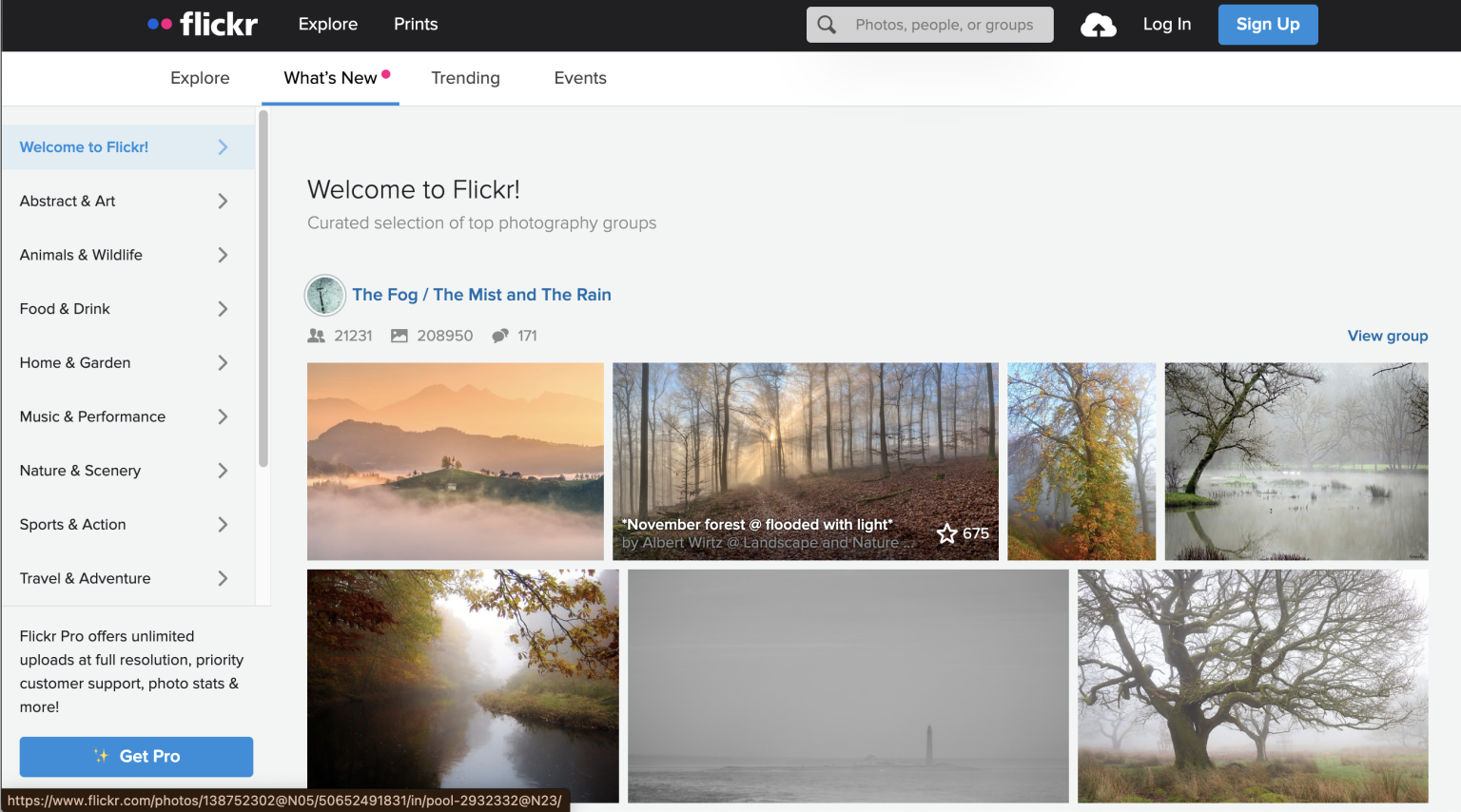 The New Flickr Discover Page Makes it Feel More Social