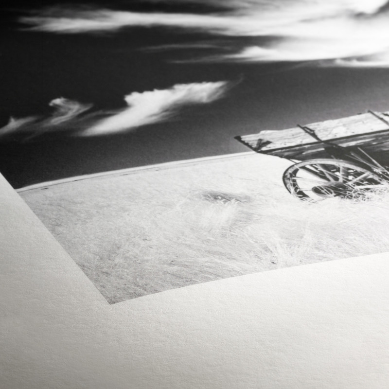 WhiteWall Expand Its Premium Hahnemühle Photo Paper Lineup