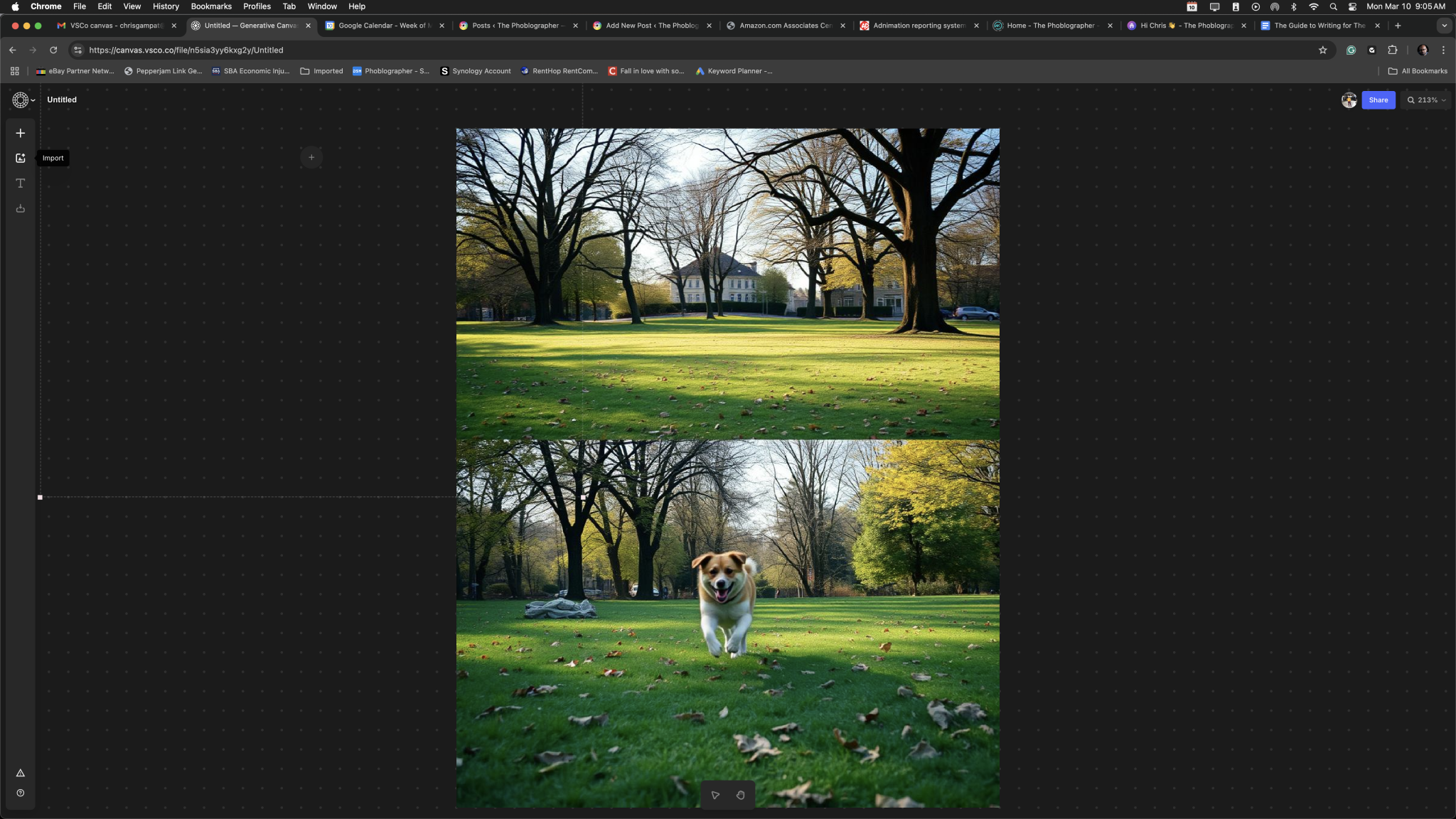 VSCO Canvas is a Reminder that Generative AI is Still Not There