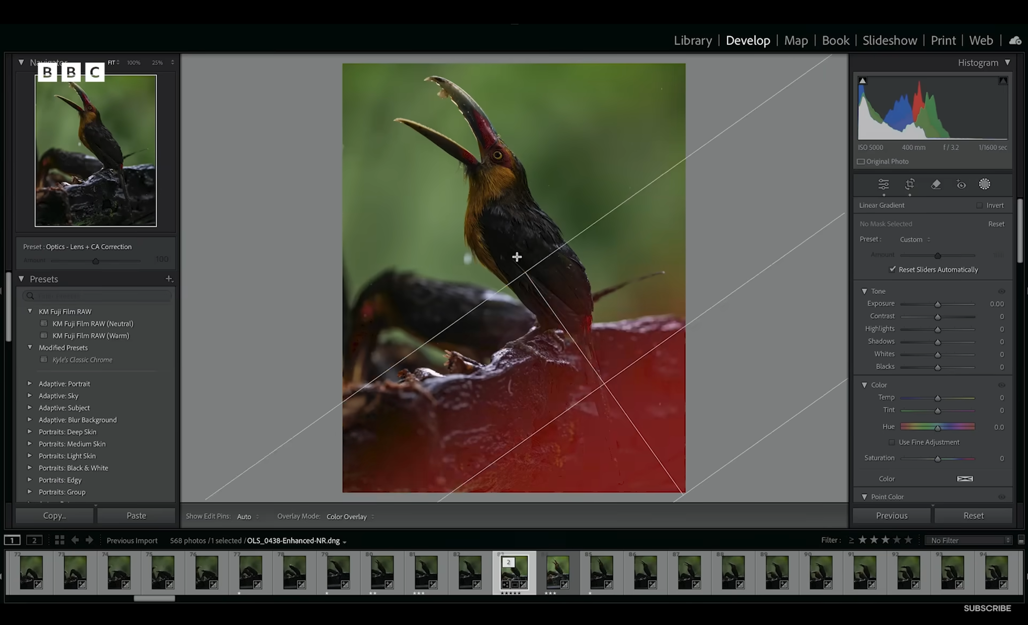 Wildlife Photographers, This BBC Earth Series is Perfect For You