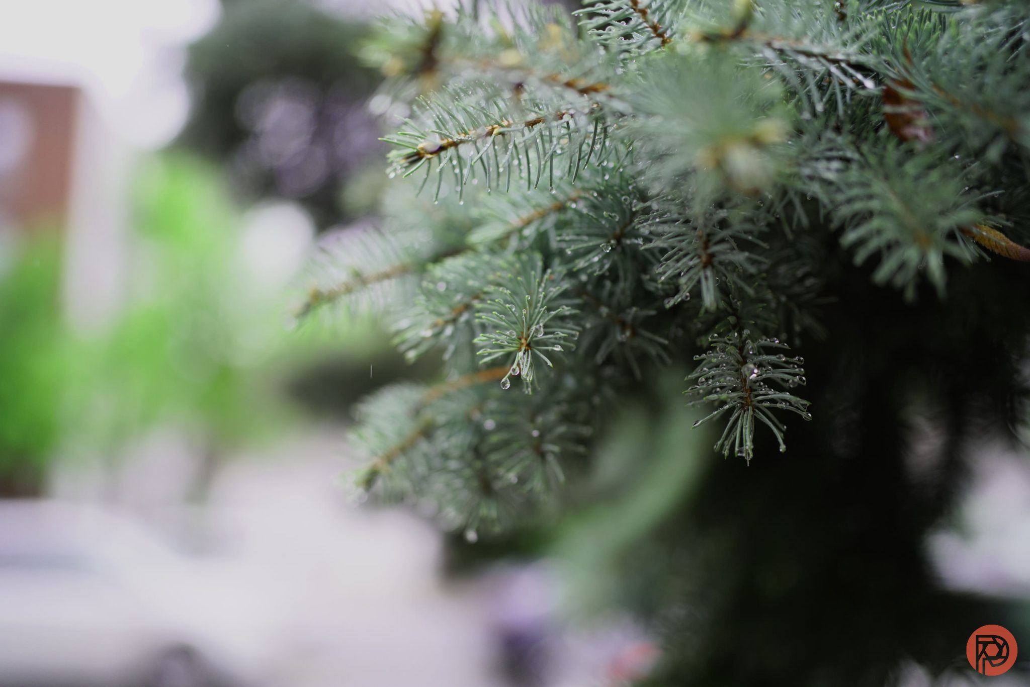Viltrox 35mm f1.2 FE Lab Review: Not Done by an Influencer