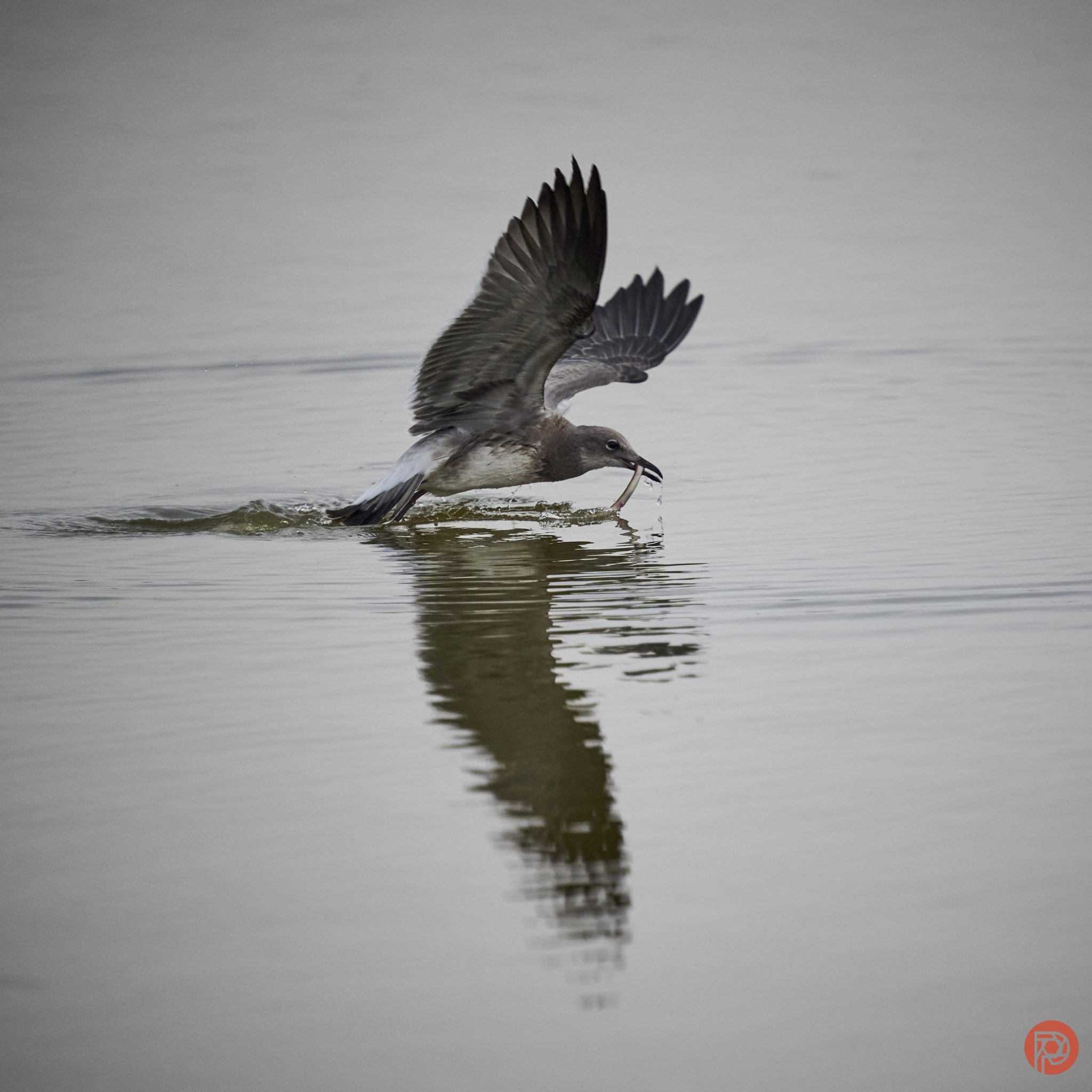 Useful Photography Tip Archives - The Phoblographer