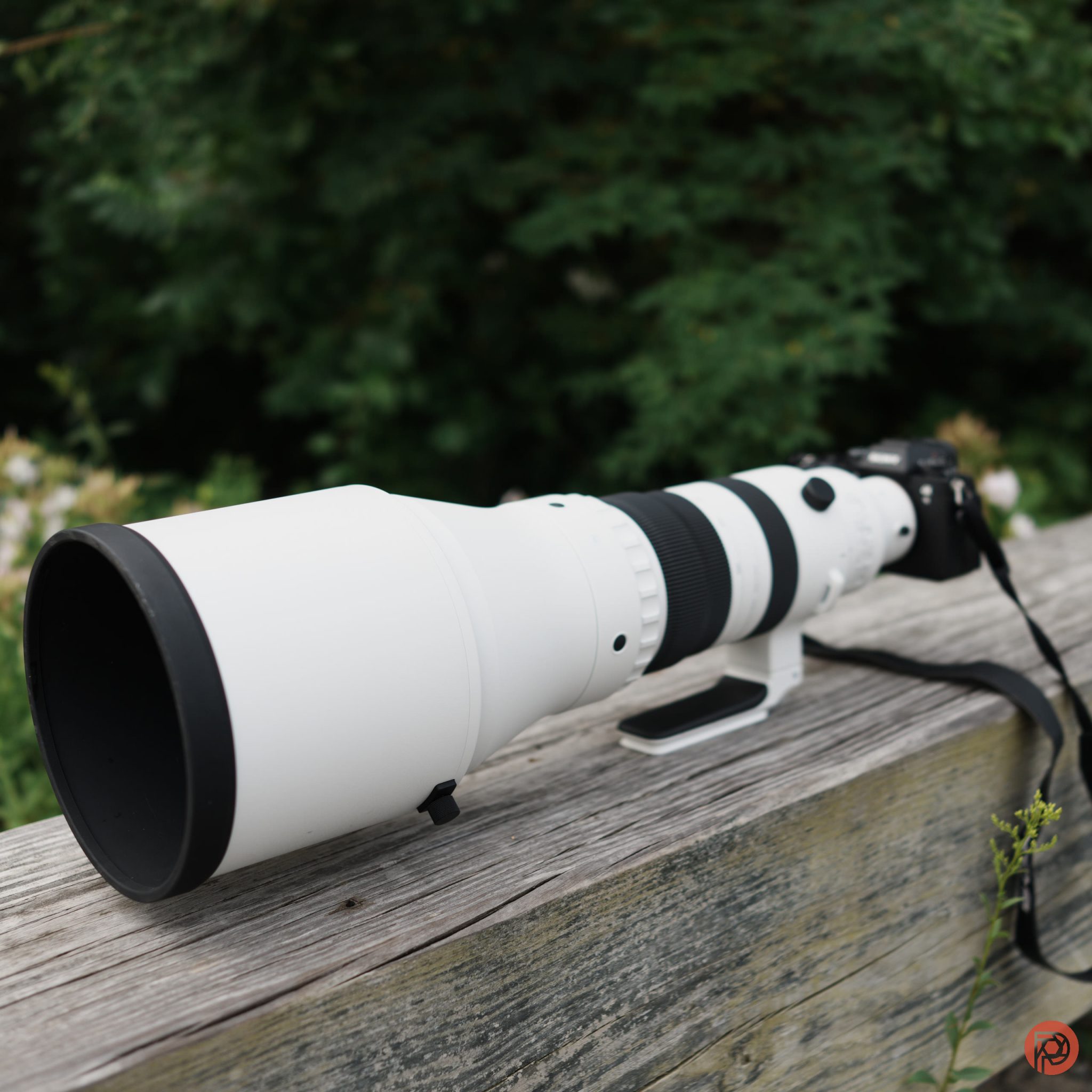 Will Canon Release a Super Telephoto to Compete With Sigma?