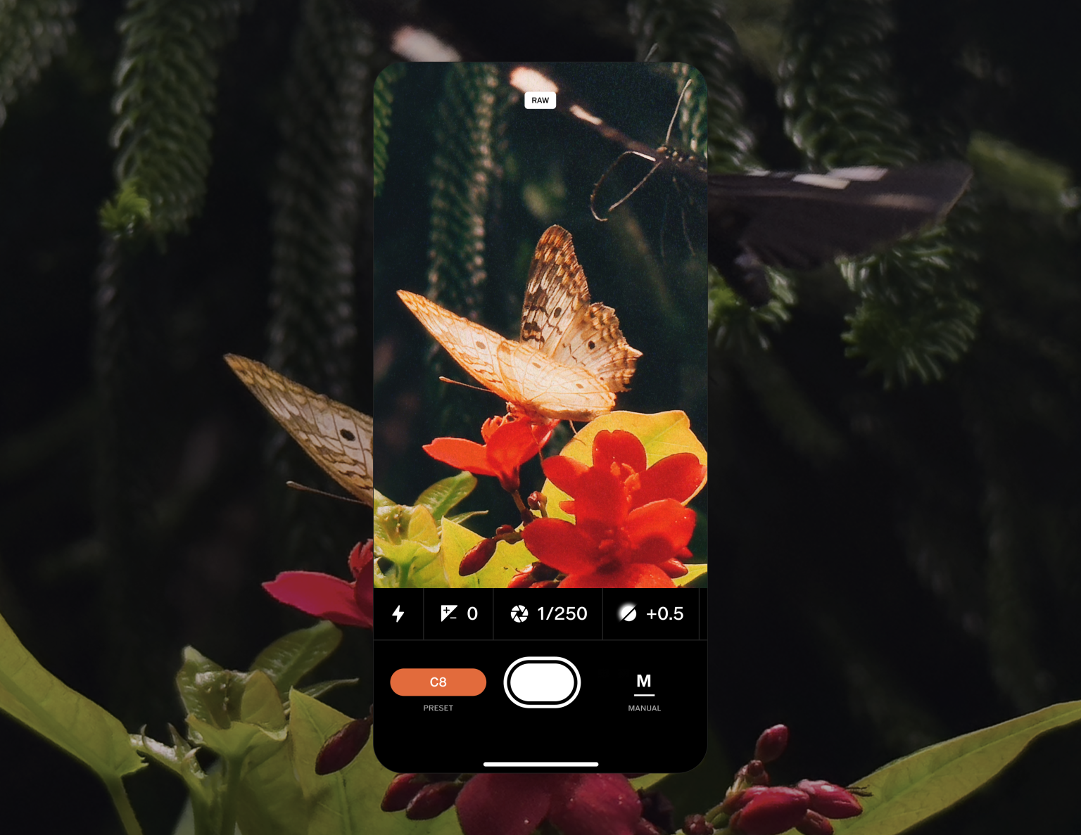 VSCO Has an Answer to All the Problems Instagram Causes