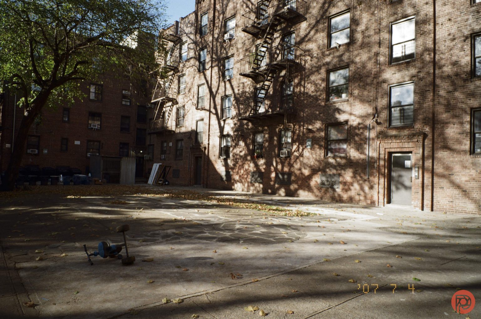 Kodak Kodacolor 100 Review: Everything Looks Like a Dream