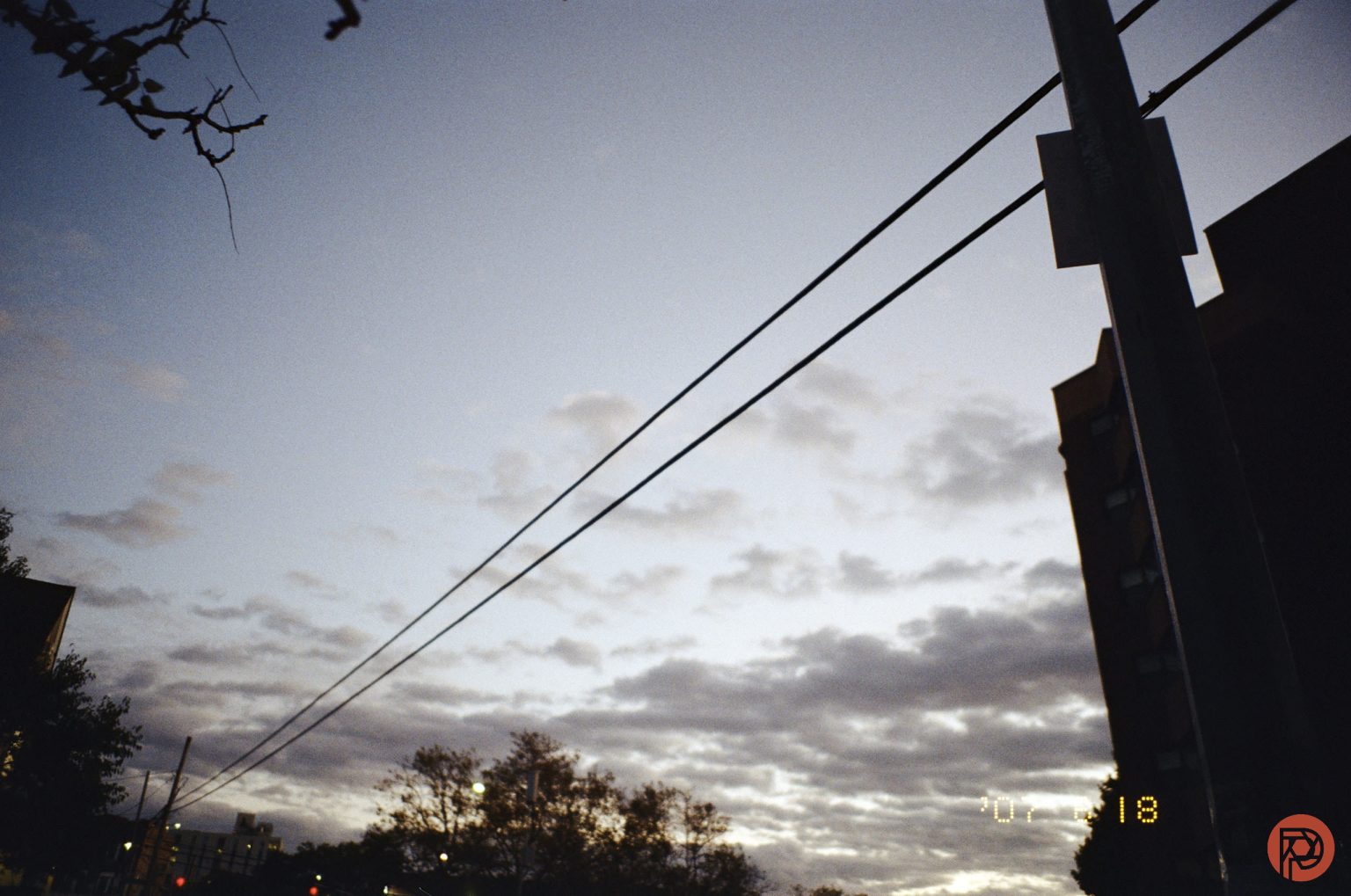 Kodak Kodacolor 100 Review: Everything Looks Like a Dream
